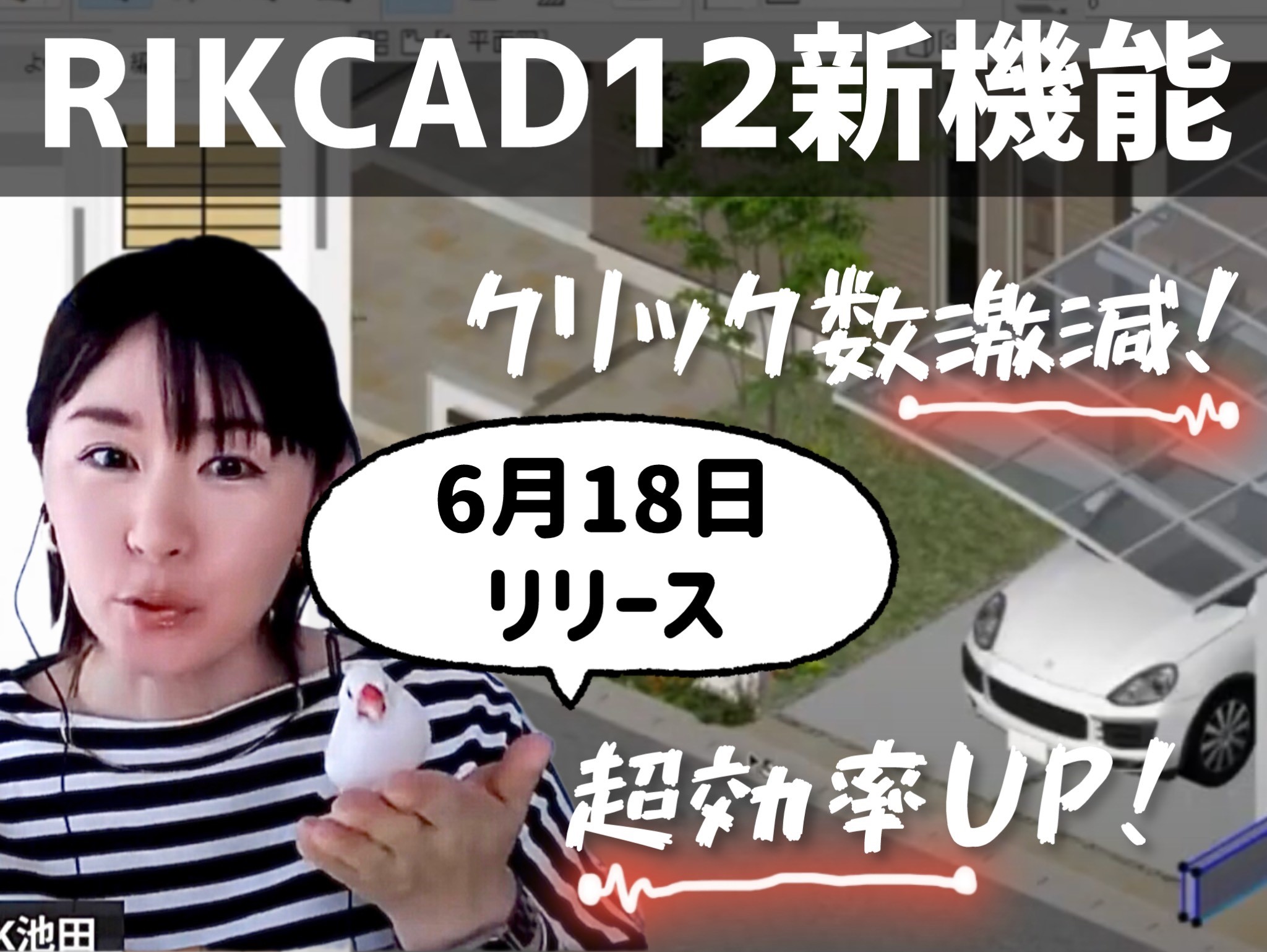 RIKCAD機能紹介 | Share-シェア-RIK製品のテクニックやアイデア